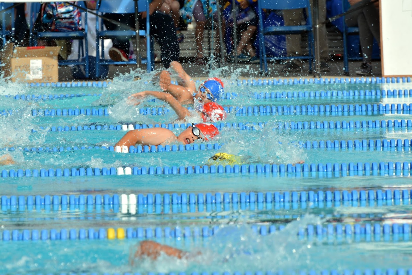 2022 Swim Meet - Calphin 2022 Swim Meet - Calphin